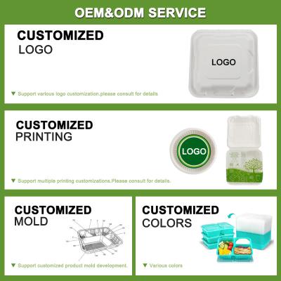 중국 Customized Logo Acceptable Eco-Friendly Cornstarch Plastic PP Takeaway Burger Box 판매용