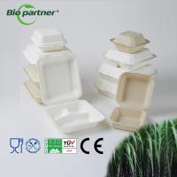 Quality Camping Occasion Customized Logo Acceptable Disposable Sandwich Togo Container for Togo for sale