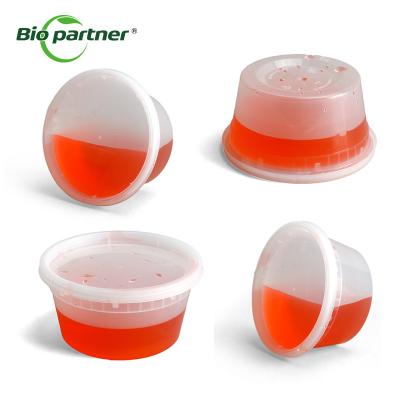 Chine OEM Logo Transparent Plastic Food Storage Organizer Bowl for Deli Salads and Takeout à vendre