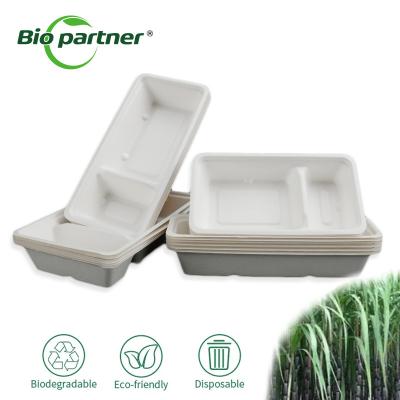 Chine Eco-Friendly Food Catering Bagasse Snack Box Tray for Fast Food Take Away à vendre