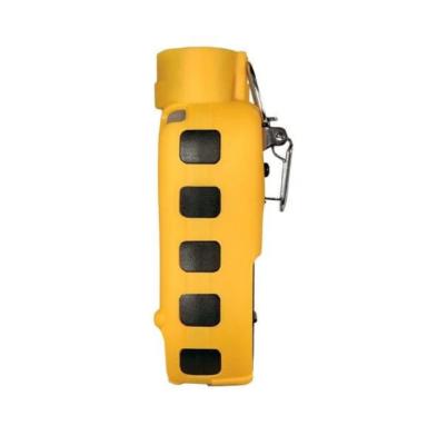 중국 RAE ToxiRAE Pro LEL 무선 휴대용 연화 가스와 증기 모니터 PGM-1820 판매용