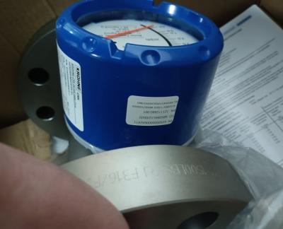 중국 KROHNE H250/RR/M40/ESK-Ex,S/N:E250000000692411 변수 영역 흐름 미터 판매용