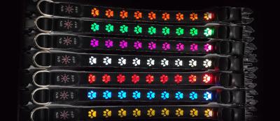 China Pet Supplies LED Dog Collar with Custom Logo USB Rechargeable Flashing Modes Slow Flash for sale