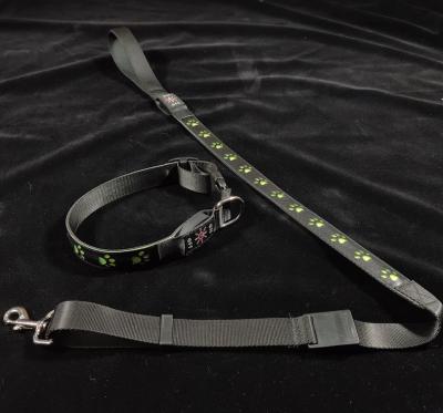China Pet Supplies LED Dog Collar with Custom Logo USB Rechargeable Flashing Modes Slow Flash for sale