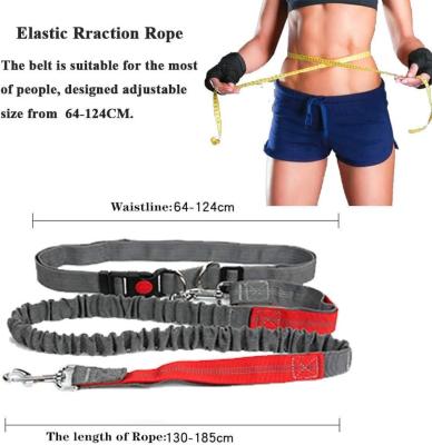 Adjustable Hands-Free Pet Dog Running Leashes Custom Logo Long Waist Double
