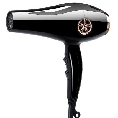 2000W High Concentration Negative Ion Blow Hair Dryer Professional Salons