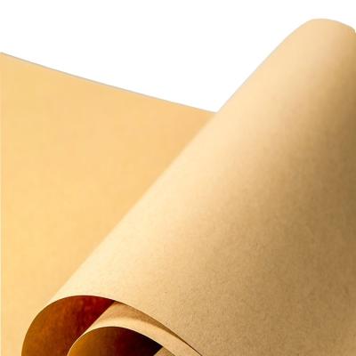 China Wholesale PE Coated Paper Roll Recycled Kraft Paper Roll for Paper Bag for sale