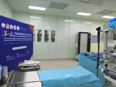 Cina I tassi 100% eliminano la sterilizzazione dell'aria dell'antigene 200m3 dell'acaro in vendita