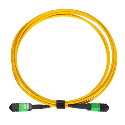 Cina 24 fibre MPO APC femmina a APC femmina OS2 cavo monomodale in vendita