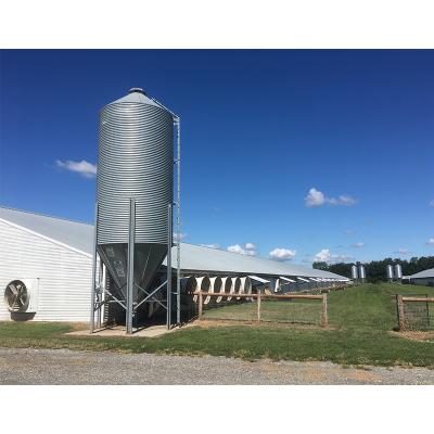 Cina Moderna struttura a telaio in metallo leggero Struttura di allevamento di pollame in vendita