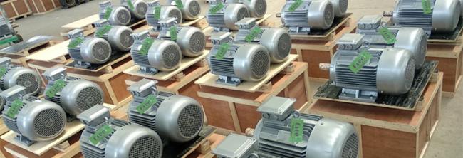 Complete product line of Permanent Magnet Generators