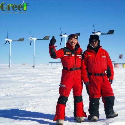 Κίνα 5kw αργόστροφος οριζόντιος ανεμοστρόβιλος ελέγχου πισσών στεγών για την εγχώρια χρήση προς πώληση