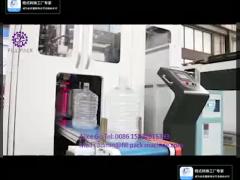 Automatische HAUSTIER 4000BPH Flaschen-Schlagmaschine für Juice Bottle