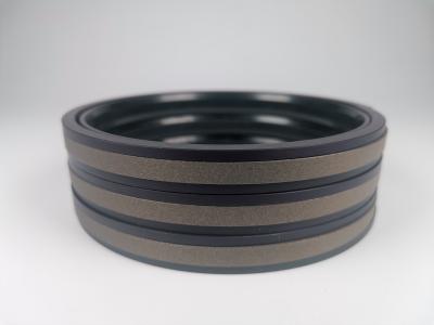 Κίνα ΝΆΥΛΟΝ Spgw σφραγίδα εμβόλων PTFE NBR για τον εκσκαφέα προς πώληση