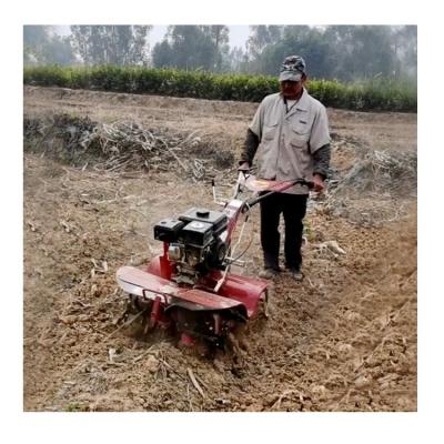 Cina 4KW Diesel piccolo coltivatore operazione di risparmio di manodopera per macchine agricole attrezzature in vendita
