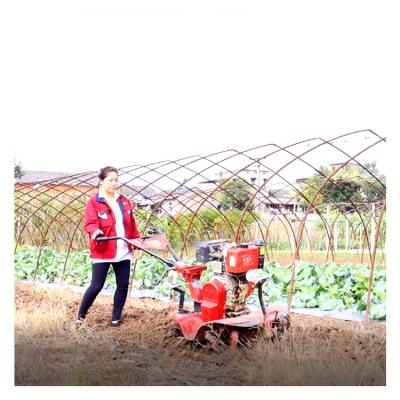 Cina Apparecchiature per macchine agricole professionali Mini Tiller da 4 kW per l'agricoltura in vendita