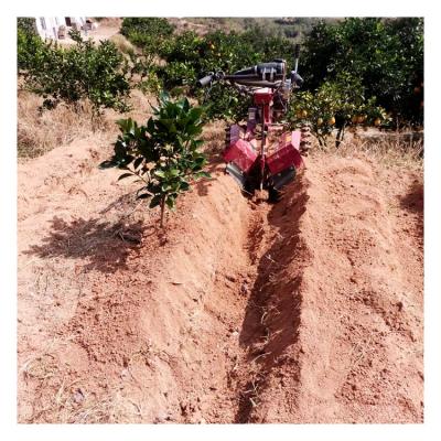 China Hoog veiligheidsniveau Boomlandbouw Machine Ridging Mini Farm Power Tiller voor energie Te koop