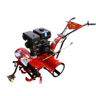 Cina Coltivatore a benzina da 4 kW per campi di riso e terreni secchi Soluzione agricola versatile in vendita