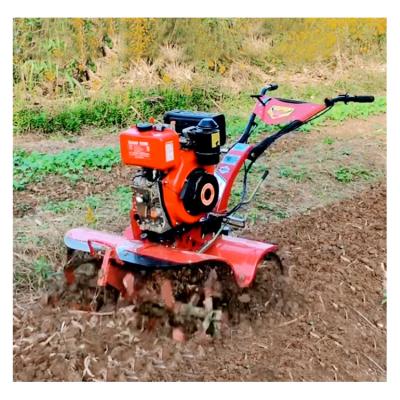 Cina Coltivatore rotativo ad alto livello di sicurezza Struttura degli ingranaggi a benzina Mini Tiller di potenza da 7 CV per giardino in vendita