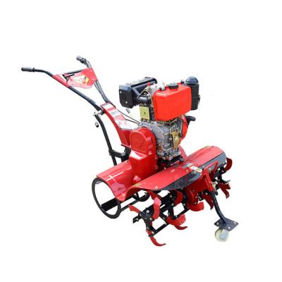 Cina Prova la potenza di un motore diesel da 6 CV da 85 kg nel tuo giardino in vendita