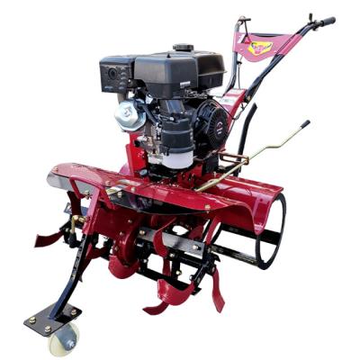 Cina 5KW Motore a benzina Mini Tiller rotativo per un'operazione facile e larghezza regolabile in vendita