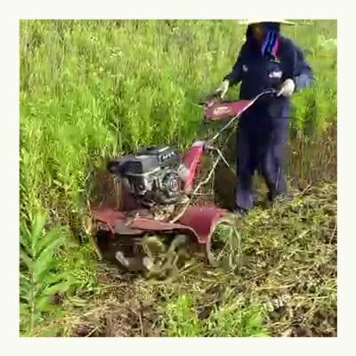 Cina Trasmissione 4x4 Piccola potenza Tiller rotante Macchine agricole Equipaggiamento per il riso in vendita