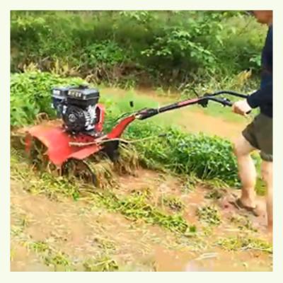 Cina 170F 7HP 4.05KW Trasmissione manuale di ingranaggi Avviare Mini Power Tiller con elevato livello di sicurezza in vendita