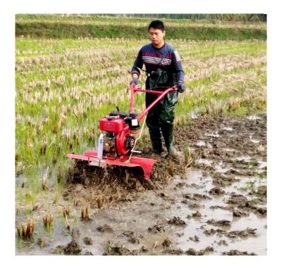 Cina 160*62*108cm Gasoline Diesel Mini Power Tiller per giardino Migliorare l'efficienza agricola in vendita