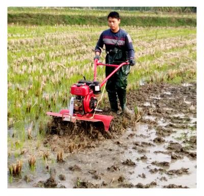 Cina Alto livello di sicurezza Macchine agricole Mini Tiller con larghezza di lavoro 45-85cm in vendita