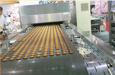 Cina Macchina industriale automatica di piccola capacità di fabbricazione di biscotti per le forme della vasta gamma in vendita