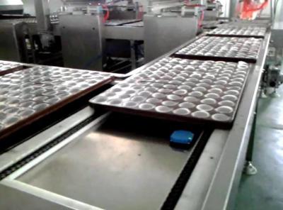 Cina Macchina di fabbricazione di biscotti del forno/macchina completamente automatica di piccola capacità del biscotto in vendita
