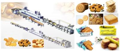 Cina Linea di trasformazione del biscotto molle e duro, biscotto automatico commerciale che fa macchina in vendita