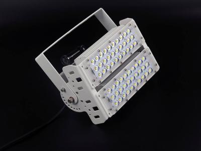 Cina Il chip IP67 del Cree impermeabilizza il ODM dell'OEM principale delle luci di inondazione, driver di Meanwell in vendita