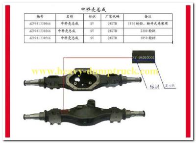 Cina numero del pezzo AZ9981330066 delle coperture dell'albero secondario del pezzo di ricambio del sinotruk con la garanzia in vendita