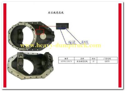 Cina numero del pezzo principale AZ9981320170 dell'assemblea delle coperture del riduttore della parte posteriore del pezzo di ricambio del sinotruk in vendita