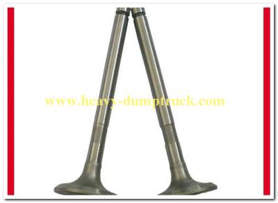 Cina numero del pezzo 61560050042/41 della valvola di scarico dell'assunzione/del pezzo di ricambio del sinotruk in vendita