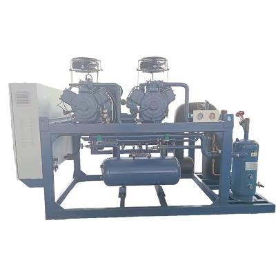 China Automatische diepvriesmachine Vinnige bevriesing Bitzercompressor Motor Huishoudelijk Gebruik Restaurant Supermarkten Nieuw Gebruikt Conditio Te koop