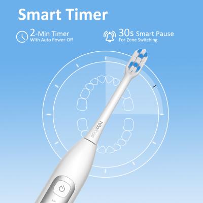 China Oral Care Appliances Sonic ElectricTooth brush Tooth brush adults Waterproof deep clean Whitening sonic Electric Toothbrush for sale