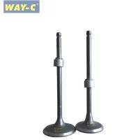Quality 36JZ0001 Motorcycle Engine Valve Set Intake Exhaust Valve For BAJAJ BOXER BM150 for sale