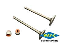 Quality G4320780 Tricycle TUKTUK Engine Valve Kit Intake Exhaust Valve For TVS KING for sale