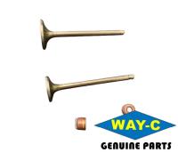 Quality DY511200 / DY511201 Engine Valve Kit Motorcycle Intake And Exhaust Valves for sale