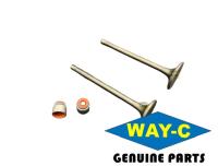Quality Motorcycle Engine Valve Kit M1010550 / M1010560 Intake Exhaust Val For TVS HLX125 for sale