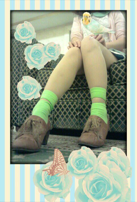 women novelty socks