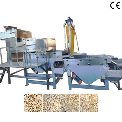 China Electricity Powered Low Noise Peanut Hazelnut Chopping Machine Nut Chopping and Grader Suitable for Food Processing Plants for sale