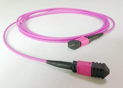 Cina Protocolli porpora 40G/100G del cavo della toppa di OM4 MPO per la rete di telecomunicazione in vendita