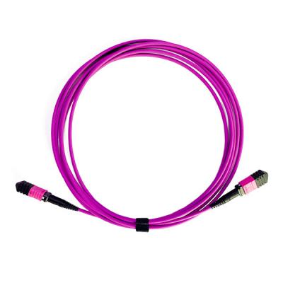 Cina 24 colori viola del cavo di forza ad alta resistenza mista del cavo della toppa della fibra MPO in vendita