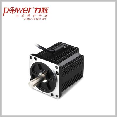 Cina 2975 alto volt 50Hz, micro motore senza spazzola del motore 220 di CC di coppia di torsione di giri/min. in vendita