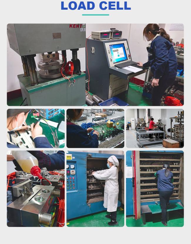 high precision industry platform floor scale pallet truck scale for animal