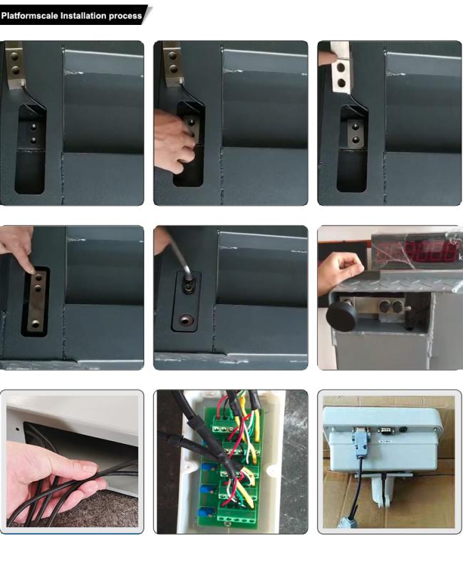 hotsale Pig Goat Sheep Cow Weighing Scale A12E indicator load cell Scale 500kg 1ton 2ton 3ton