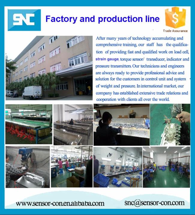 Weight Scale Load Cell Amplifier HX711